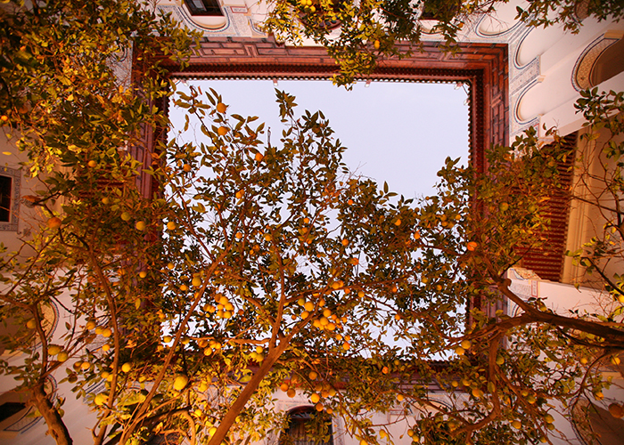 Glass enjoys a private hammam at the Spa Laaroussa, Fez, Morroco - The ...