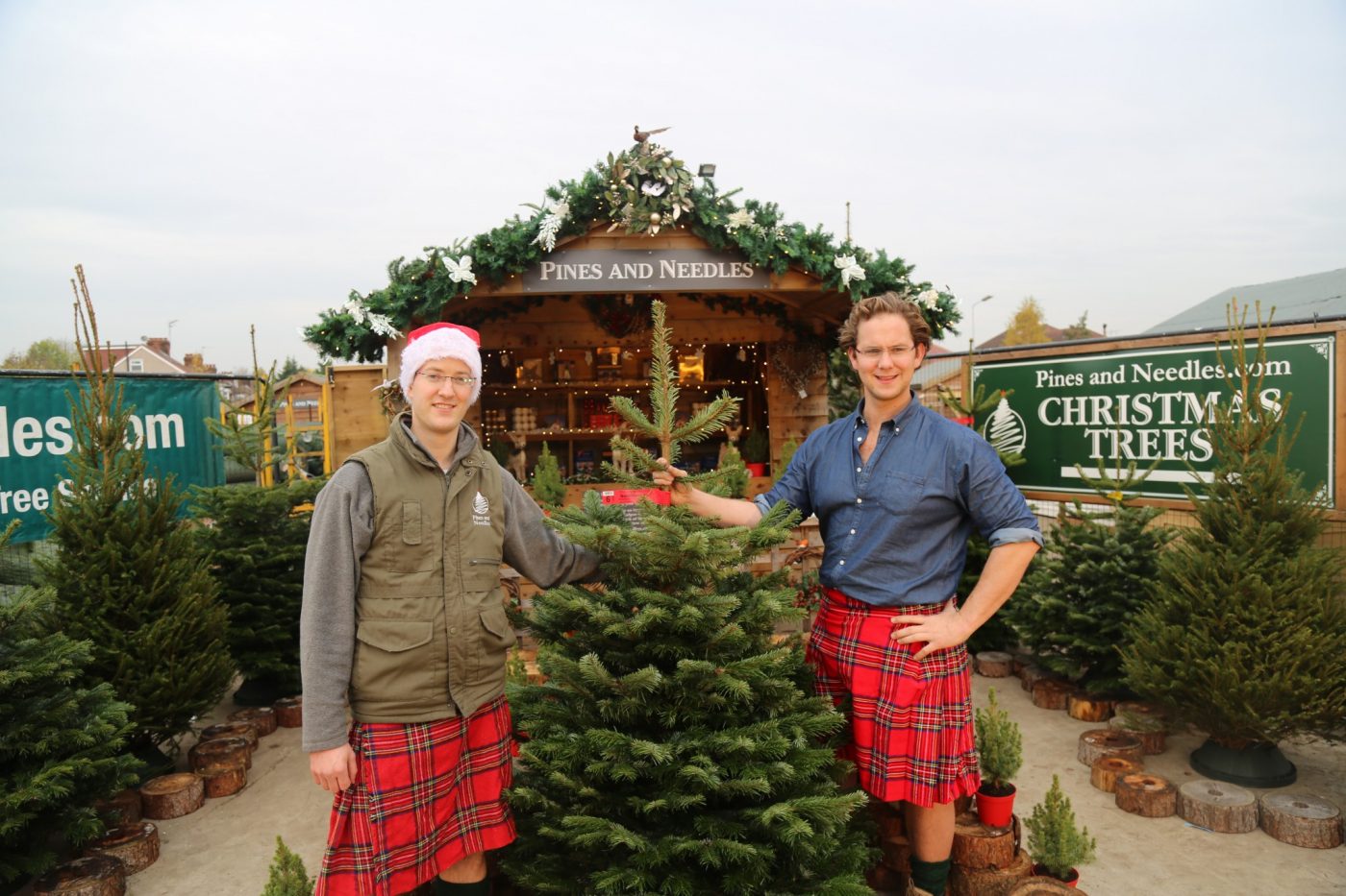Glass speaks to Sam Lyle of Pines and Needles Christmas trees - The ...