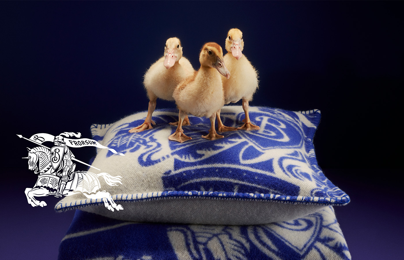 Burberry welcomes the 2023 festive season with its Holiday campaign ...