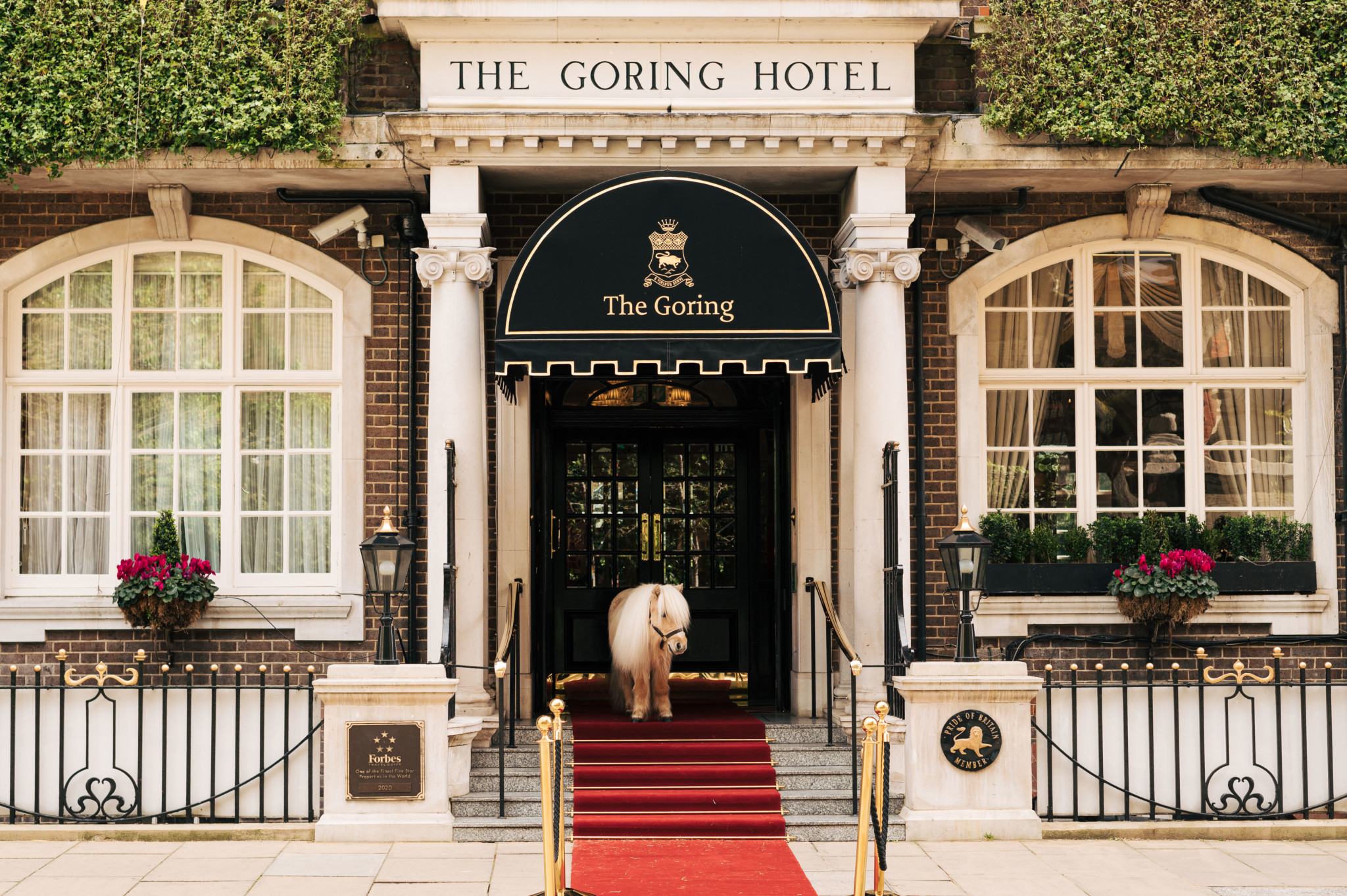 The Goring transforms into a Christmas wonderland for the 2023 festive ...