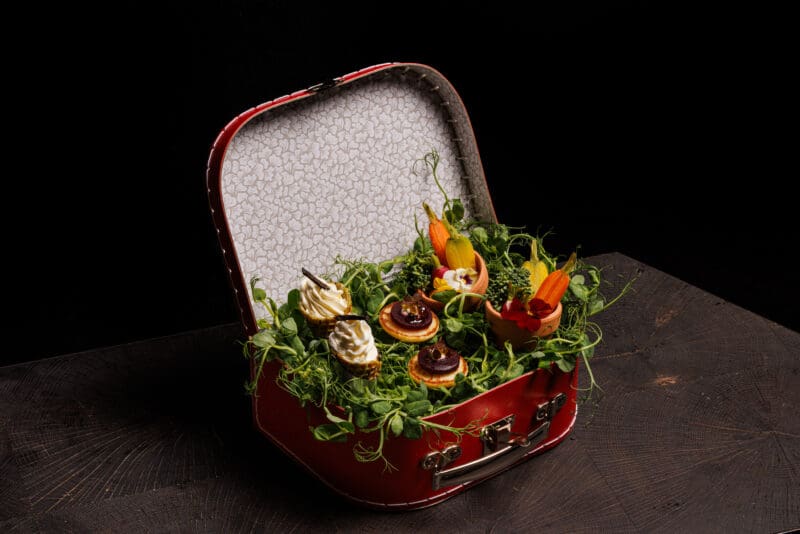Feast on Cloud 9 returns to The Grove for a flavourful summer - The ...