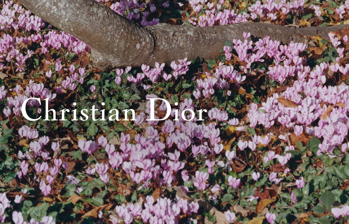 Watch the Livestream of Jonathan Anderson’s Couture Debut for Dior ...